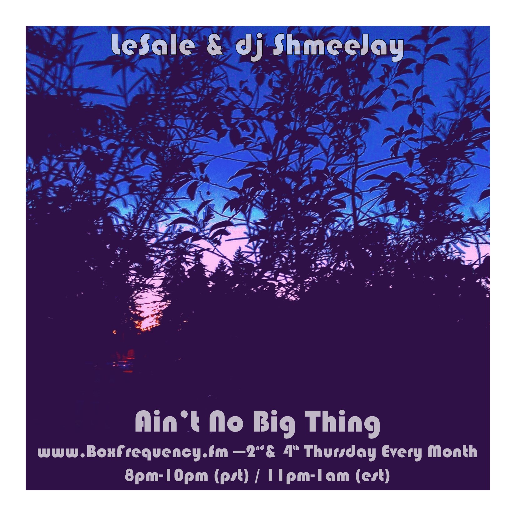 LeSale_Ain’t No Big Thing-Freq2 | dj ShmeeJay